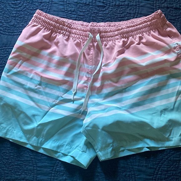 chubbies | Swim | Chubbies Swim Shorts | Poshmark